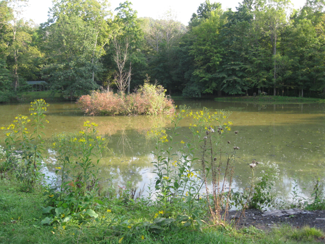Griftlo Park – Apollo Area Historical Society